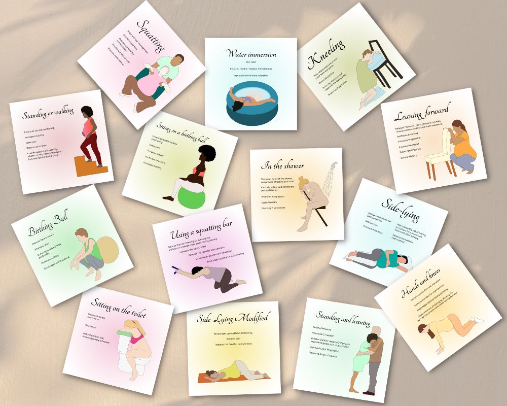 14 Labor Positions – Site Vee